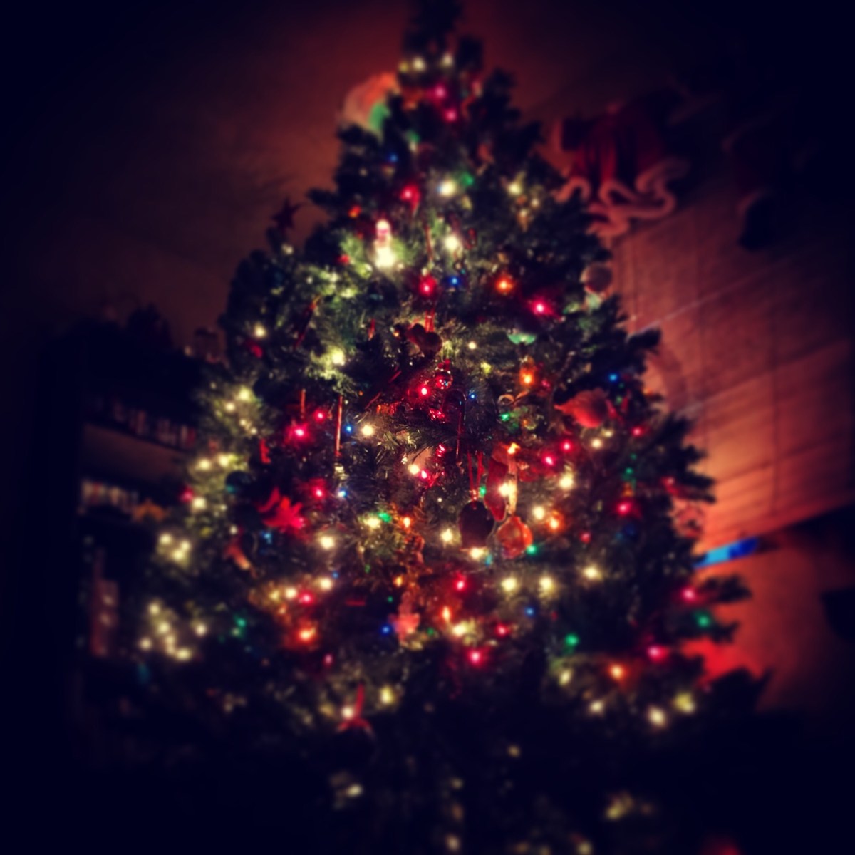 The 12 Days of Fatherhood – Josh Misner, PhD